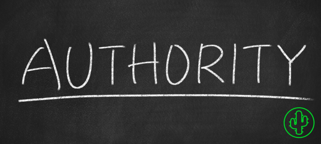 Why Your Domain Authority Matters and How to Find Your Score